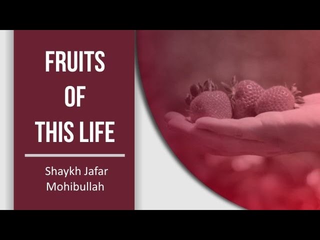 Fruits of this Life | Shaykh Jafar Mohibullah | English - Islamic Pulse